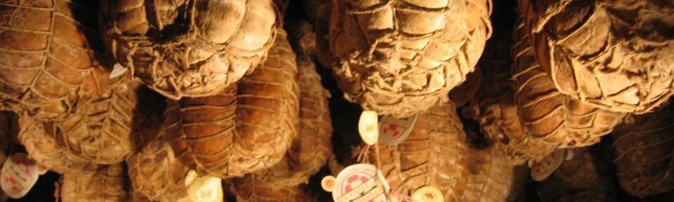 Culatello Archives | Emilia Delizia
