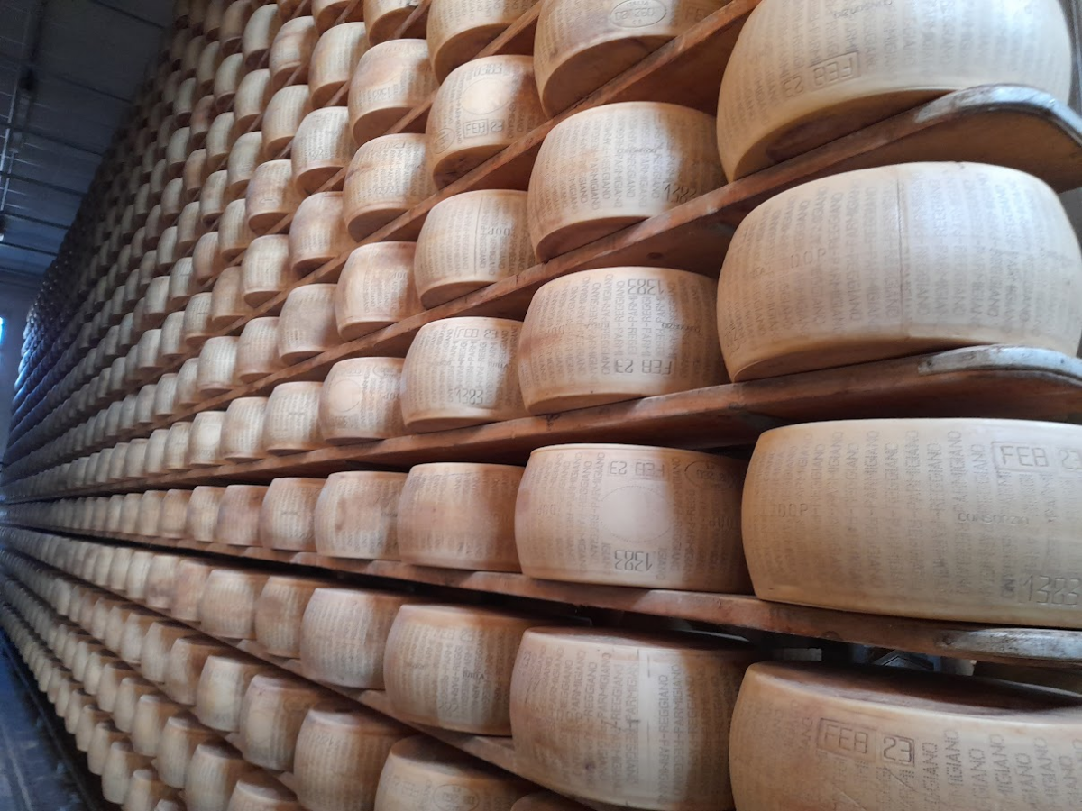 The Ideal Moment for a Parmesan Cheese Tour from Bologna: When is ...